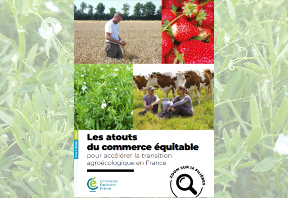 Transition agroécologique en France : le commerce équitable révèle ses ...