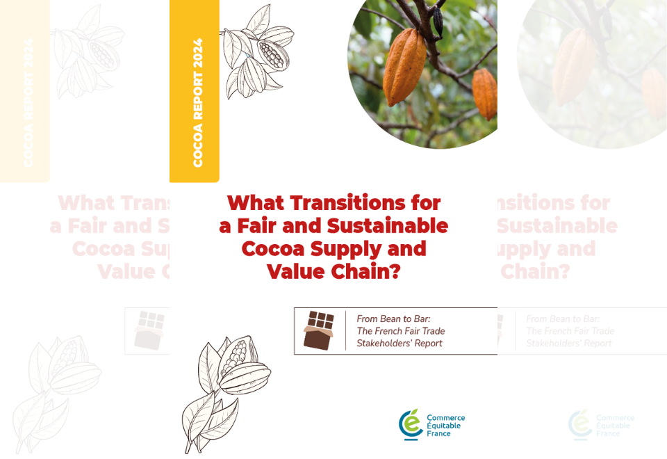 What Transitions for a Fair and Sustainable Cocoa Supply and Value ...